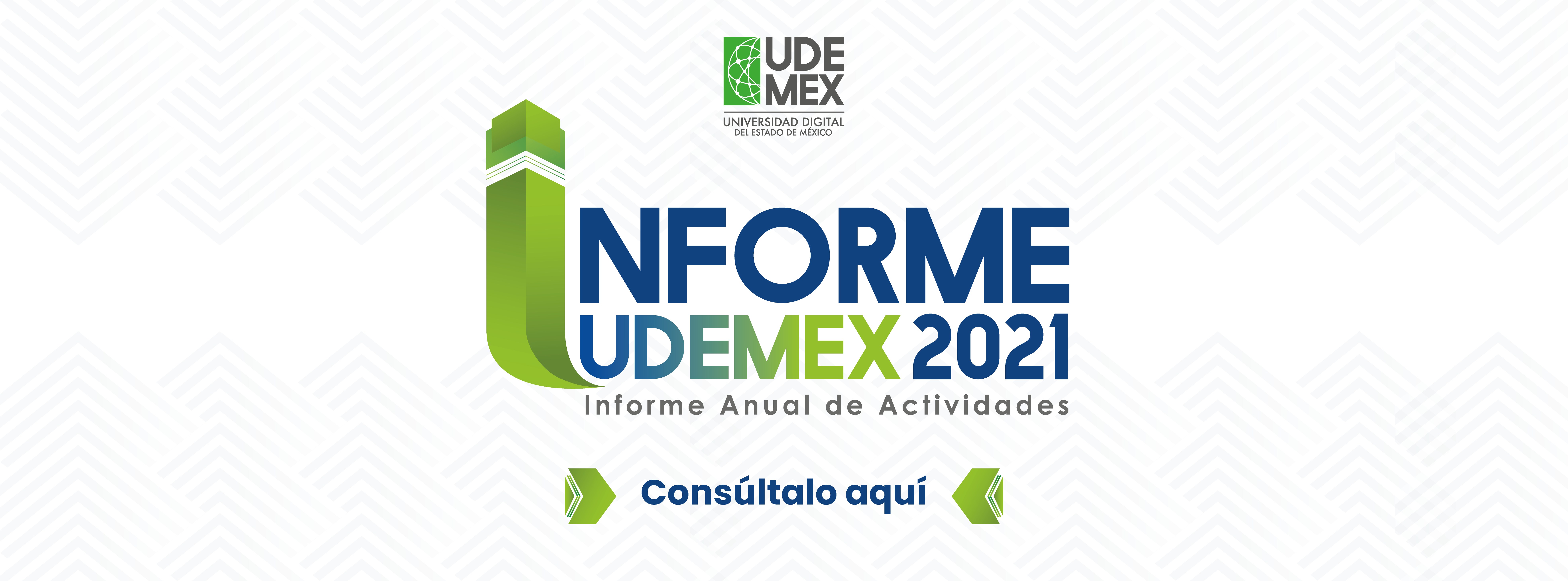 UDEMEX - Universidad Digital del Estado de México
